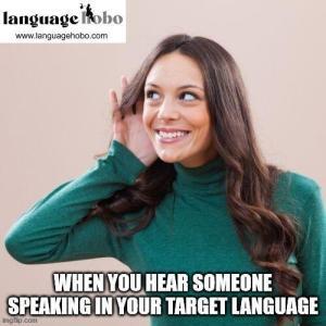 8 Memes That Language Learners Everywhere Can Relate To – Language Hobo