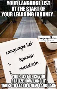 8 Memes That Language Learners Everywhere Can Relate To – Language Hobo