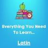 25 Latin Love Quotes and Proverbs (with audio and English translations ...