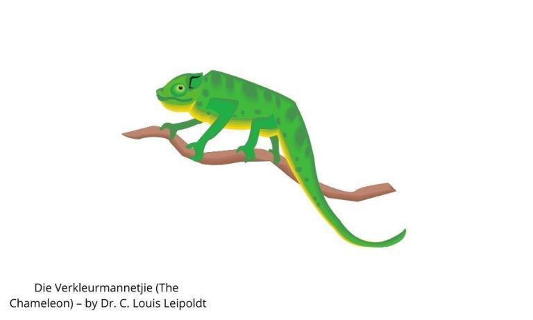 Poetry In Afrikaans: Poems About Animals And Insects – Language Hobo