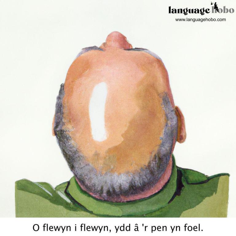 12 Welsh Proverbs (With Illustrations, Audio, And English Translations ...