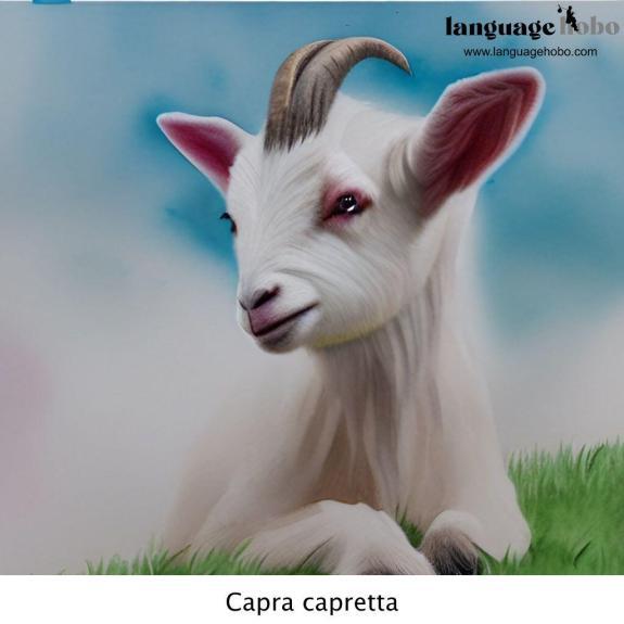13 Italian Nursery Rhymes With Illustrations And English Translations ...