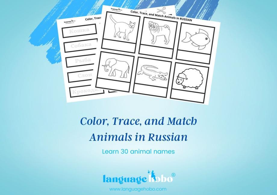 Color, Trace, and Match Animals in RUSSIAN Worksheet Pack [PDF Download ...