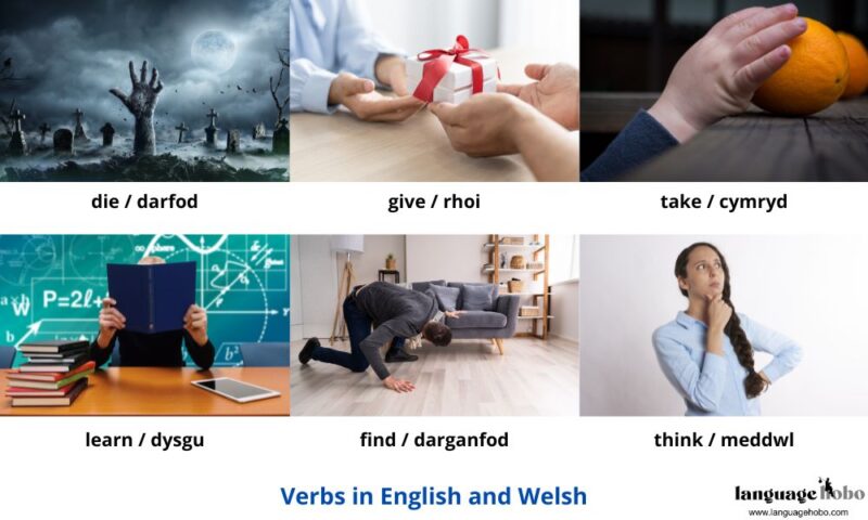 75 of the Most Common Verbs in Welsh – Language Hobo