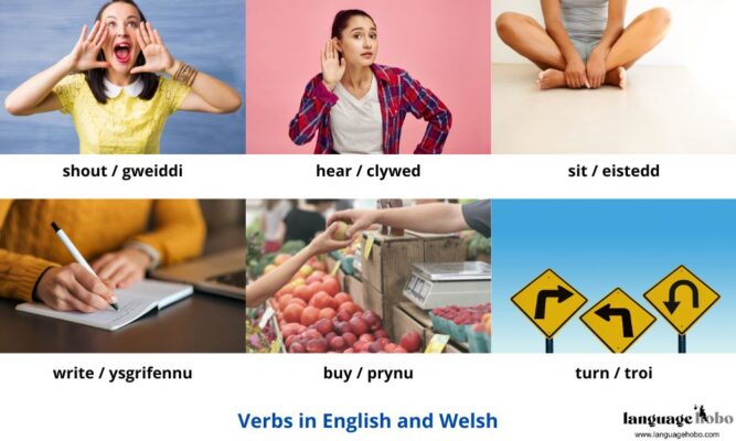 75 of the Most Common Verbs in Welsh – Language Hobo