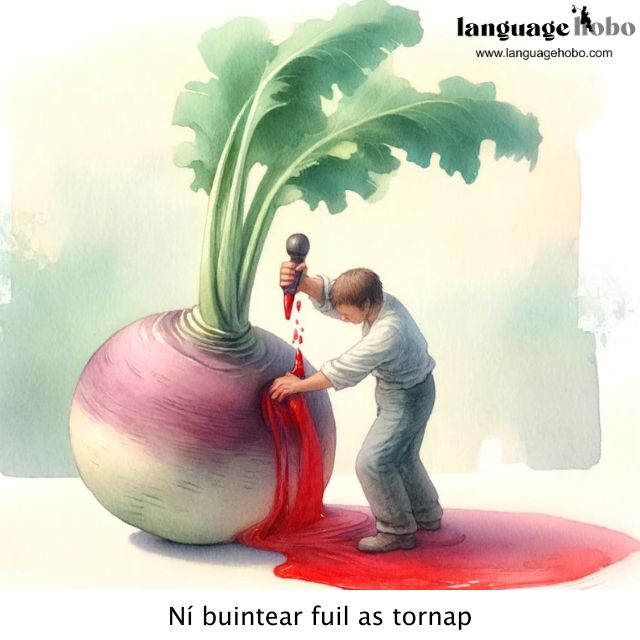 25 Irish Gaelic Proverbs with English Translations – Language Hobo