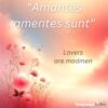 25 Latin Love Quotes and Proverbs (with audio and English translations ...