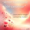 25 Latin Love Quotes and Proverbs (with audio and English translations ...