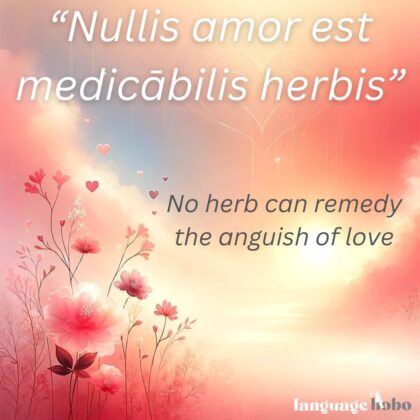 25 Latin Love Quotes and Proverbs (with audio and English translations ...
