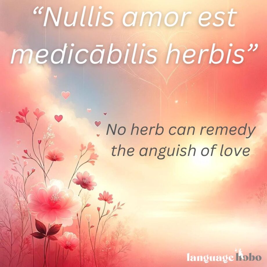 25 Latin Love Quotes and Proverbs (with audio and English translations ...