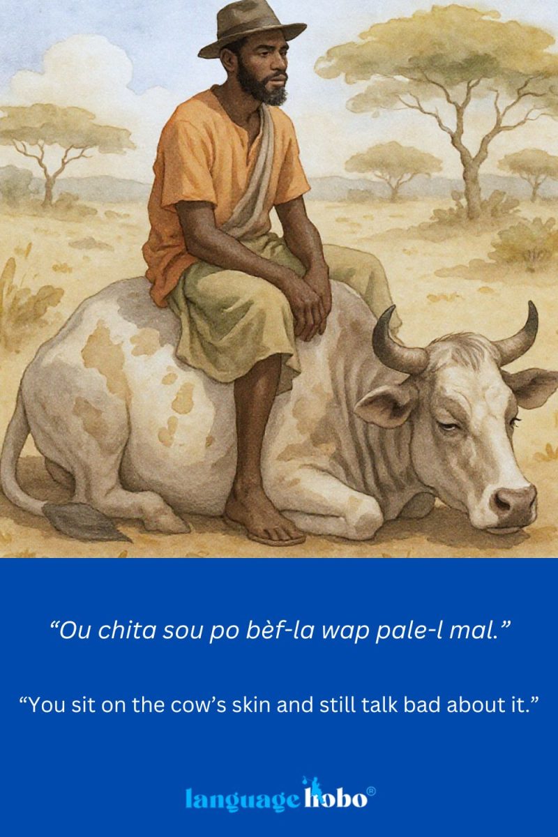 Haitian Creole Proverbs with English Translations – Language Hobo