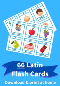 25 Latin Love Quotes and Proverbs (with audio and English translations ...