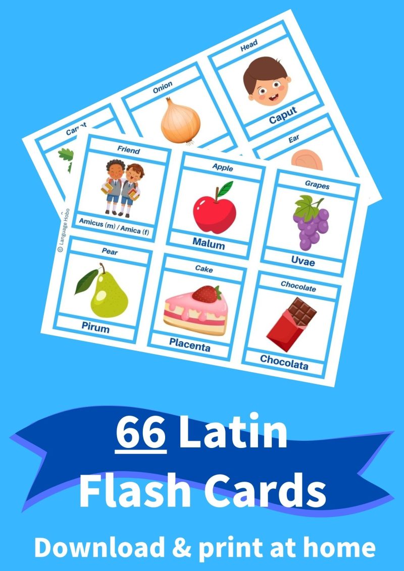 Printable LATIN Flashcards [PDF Download] – Language Hobo